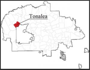 Tonalea